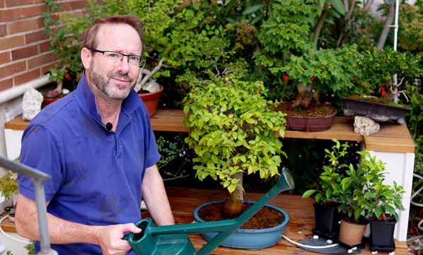 Contact – Blue Sky Bonsai