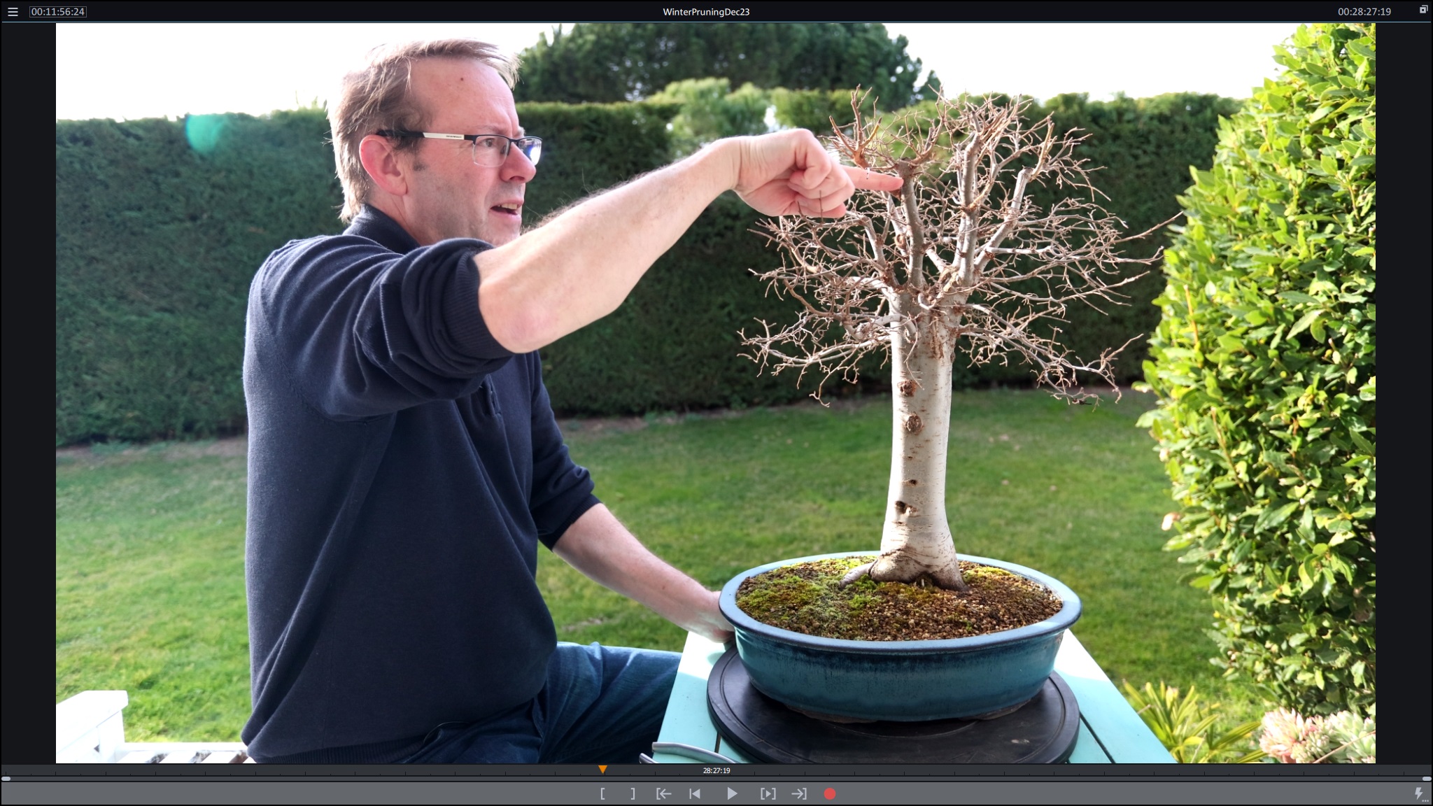 Exclusive Blue Sky video – only for subscribers – Blue Sky Bonsai